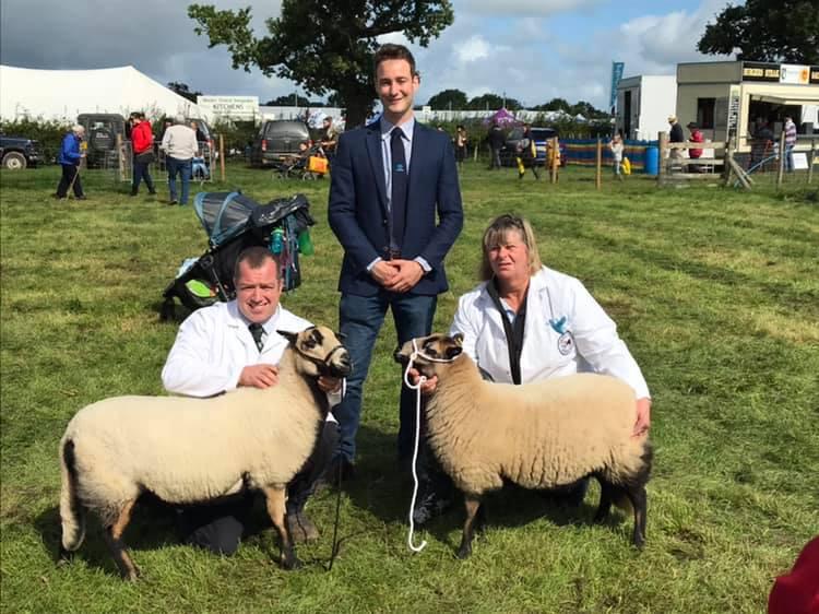 Show results 2019 | Badger Face Welsh Mountain Sheep Society