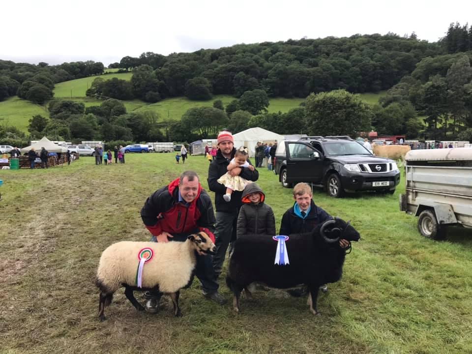 Show results 2019 | Badger Face Welsh Mountain Sheep Society