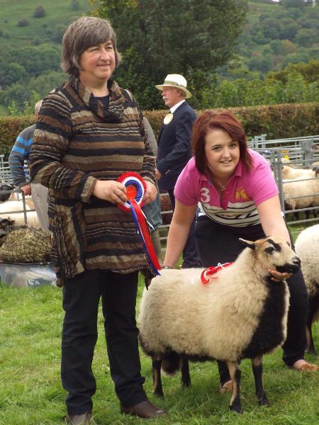 Show results 2014 | Badger Face Welsh Mountain Sheep Society