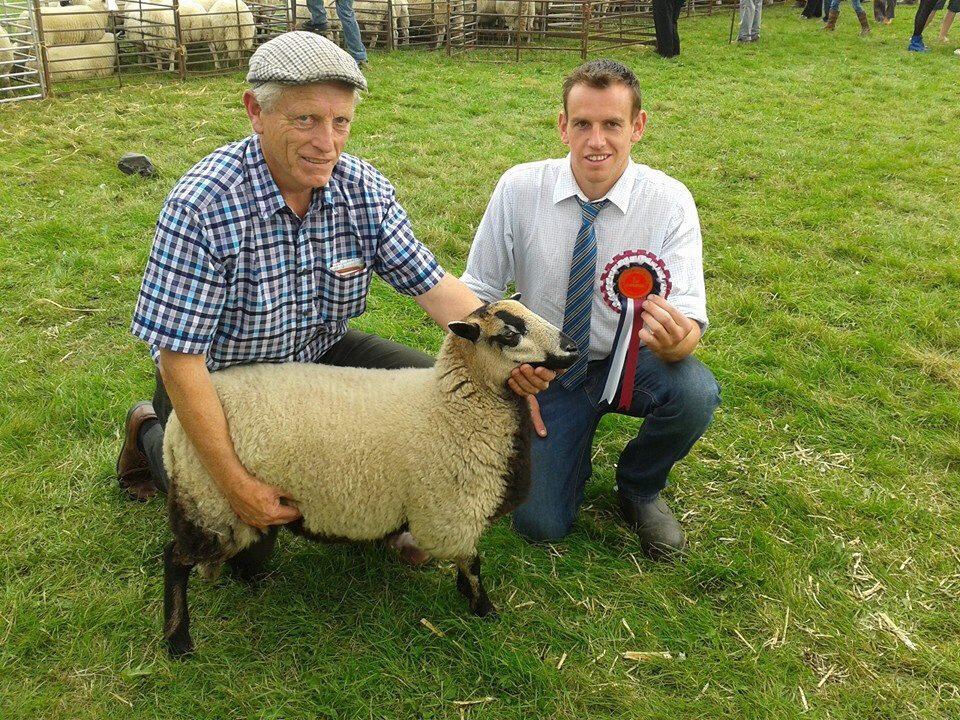 Show results 2014 - Badger Face Welsh Mountain Sheep Society