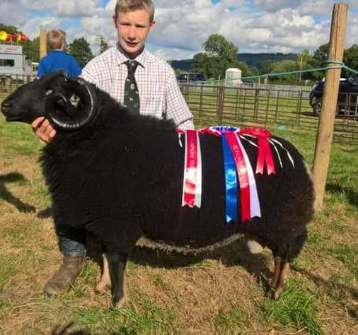 Show results 2018 | Badger Face Welsh Mountain Sheep Society