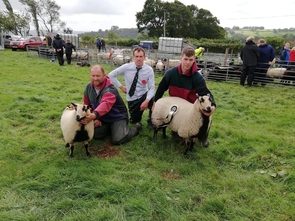 Show results 2019 | Badger Face Welsh Mountain Sheep Society