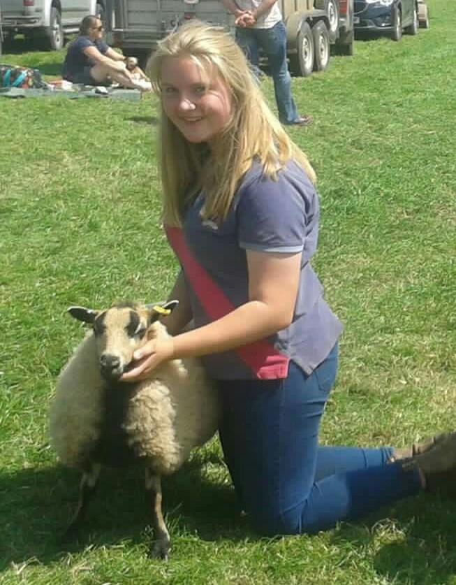 Show results 2015 | Badger Face Welsh Mountain Sheep Society