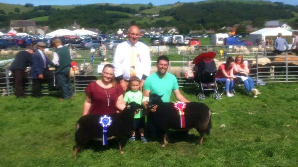 Show results 2015 | Badger Face Welsh Mountain Sheep Society