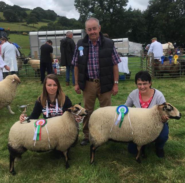 Show results 2017 | Badger Face Welsh Mountain Sheep Society