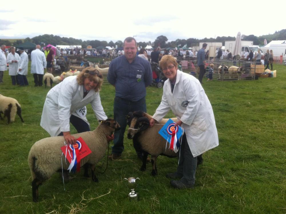 Show results 2015 | Badger Face Welsh Mountain Sheep Society