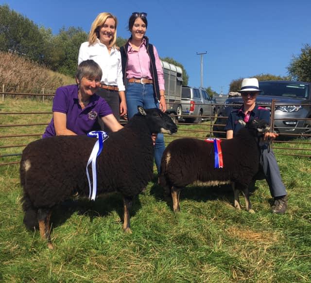 Show results 2019 | Badger Face Welsh Mountain Sheep Society