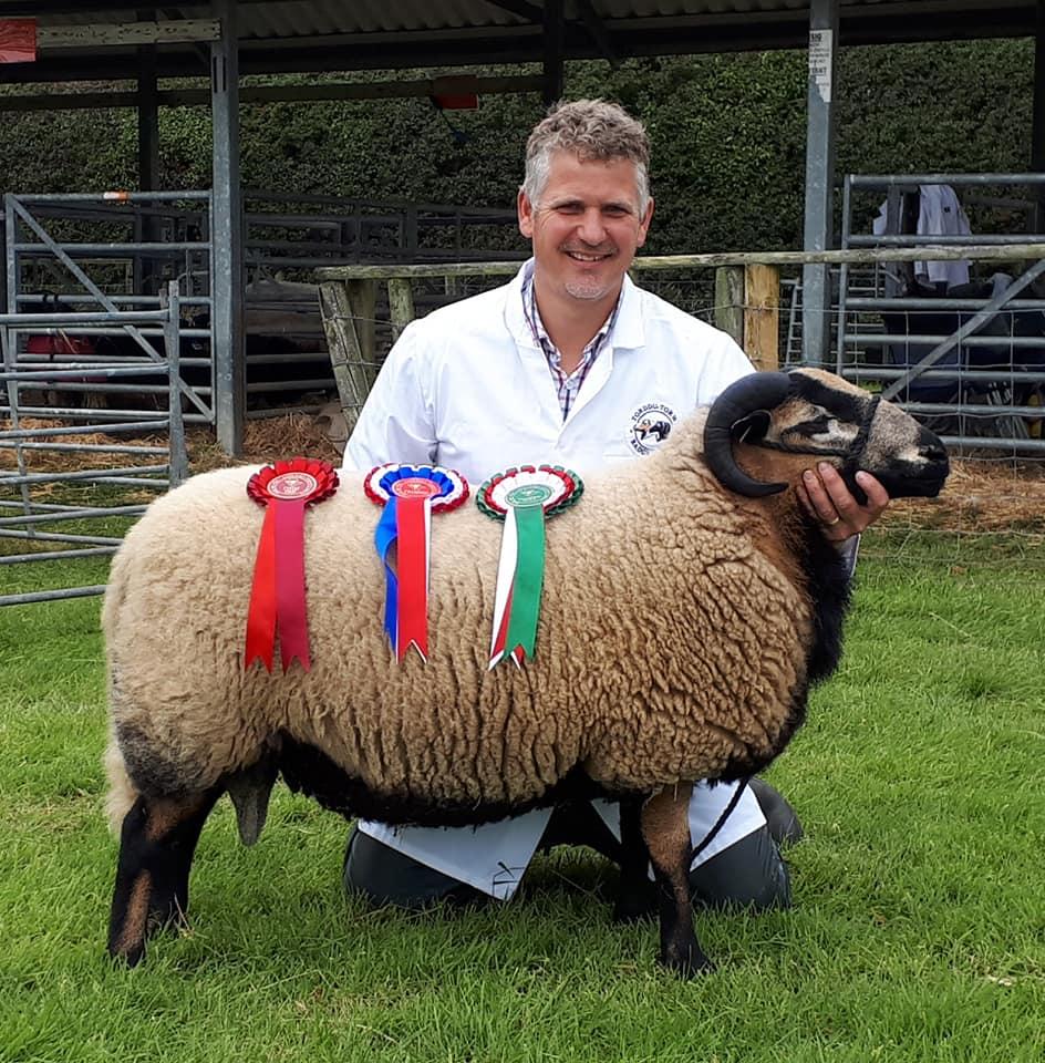 Show results 2019 | Badger Face Welsh Mountain Sheep Society