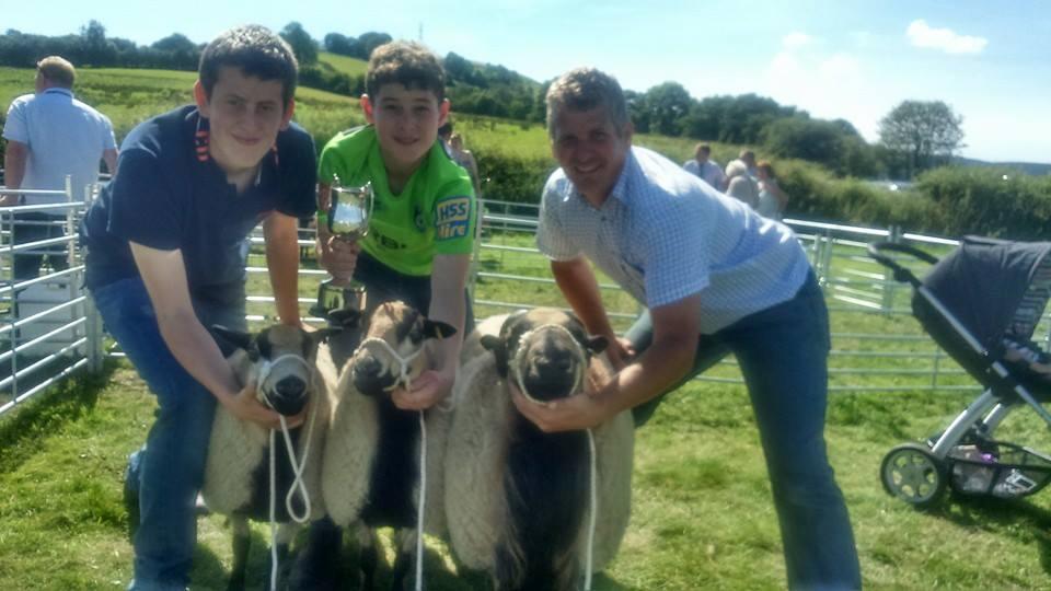 Show results 2015 | Badger Face Welsh Mountain Sheep Society