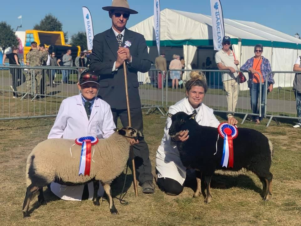 Show results 2019 | Badger Face Welsh Mountain Sheep Society